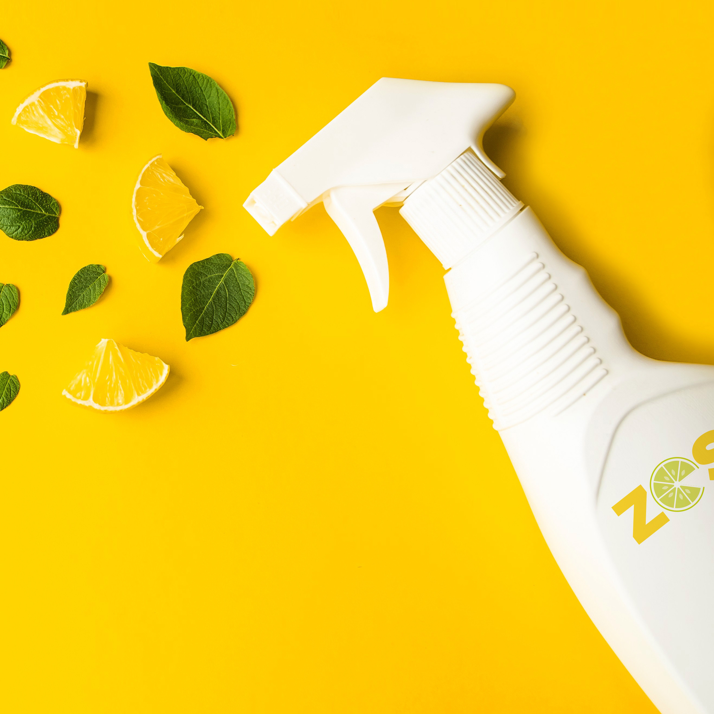 Zest – A fresh approach to cleaning services